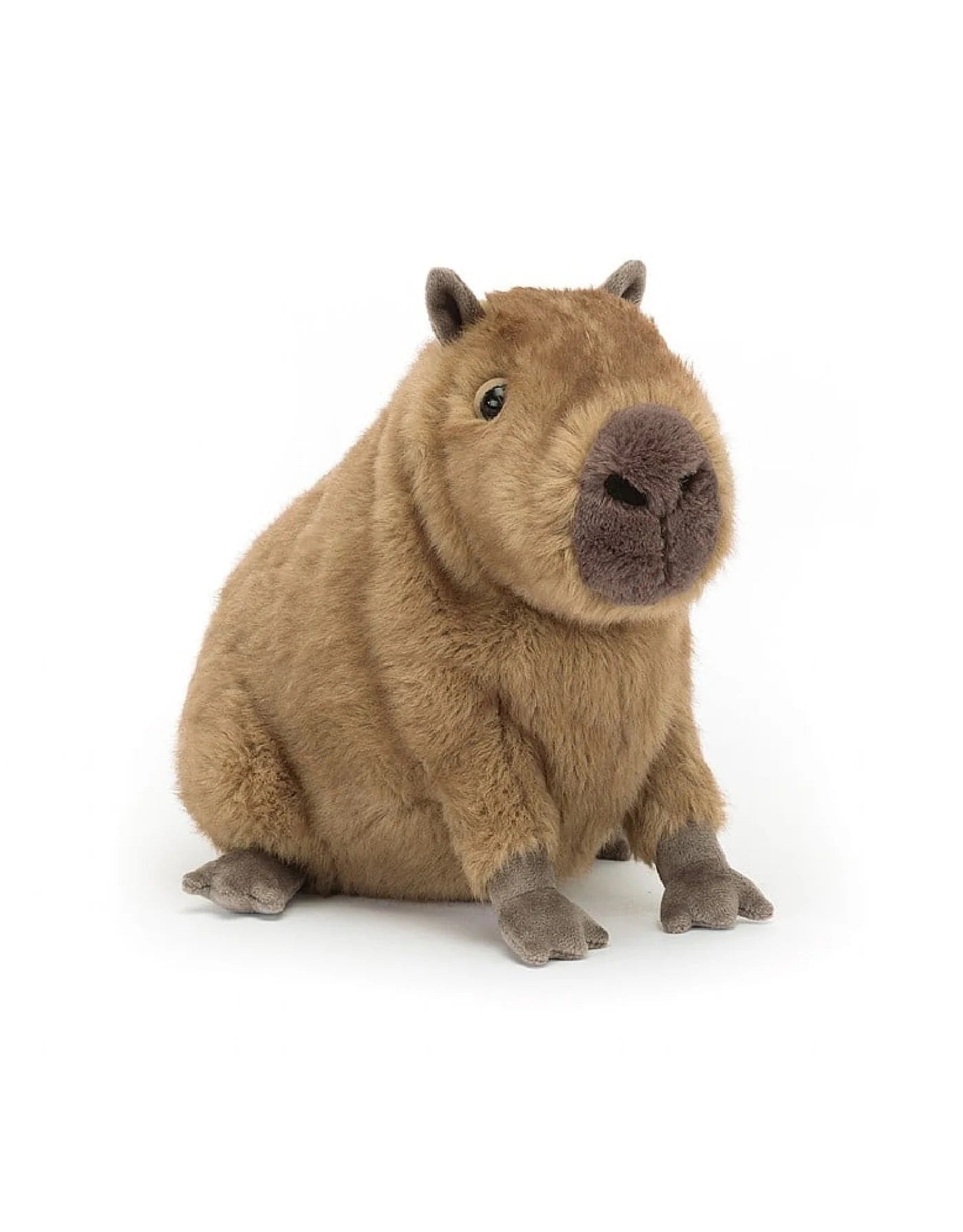Clyde le Capybara - 14 pouces - Jellycat | Mlle et Coco – Mlle et Coco Inc.